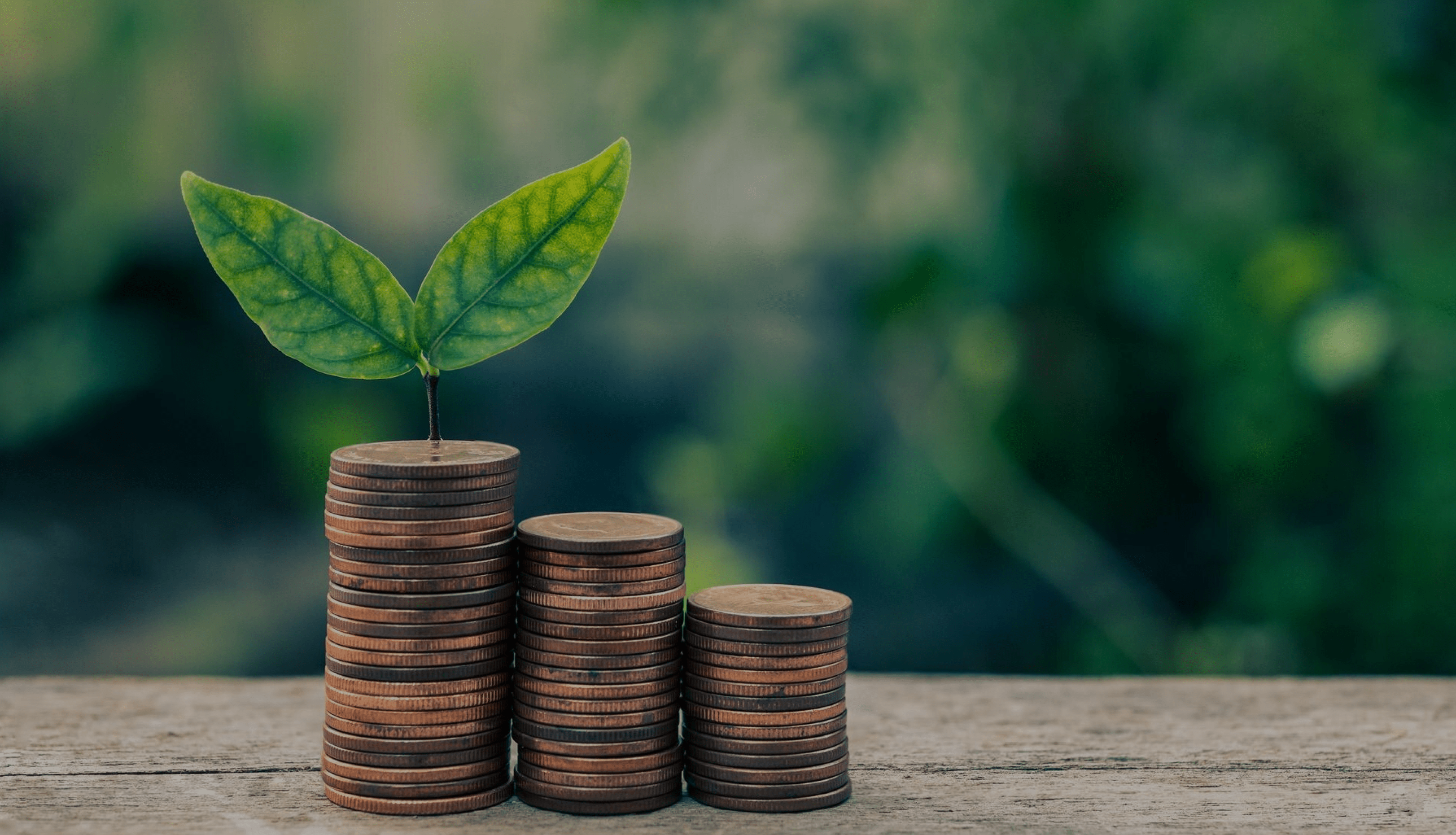 Fintech Leading Eco-Friendly Investment and Practices